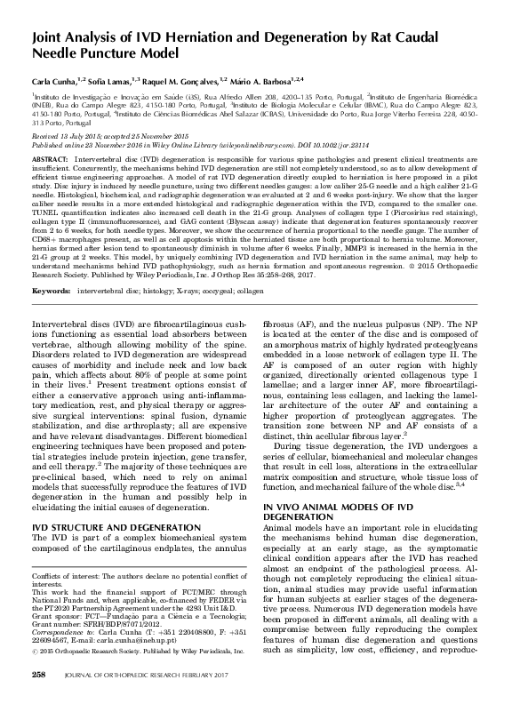 (PDF) Joint analysis of IVD herniation and degeneration by rat caudal ...