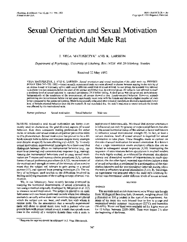 (PDF) Sexual orientation and sexual motivation of the adult male rat