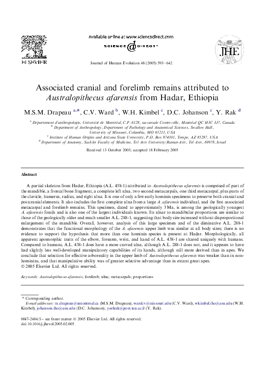 Associated cranial and forelimb remains attributed to Australopithecus ...