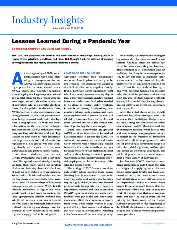 (PDF) Lessons Learned During a Pandemic Year | John Van Arsdel - Academia.edu