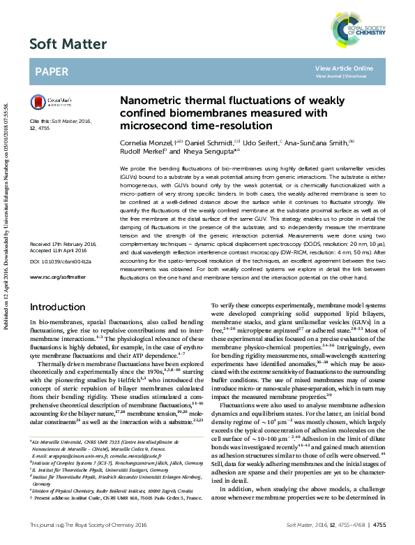 (PDF) Nanometric thermal fluctuations of weakly confined biomembranes measured with microsecond ...