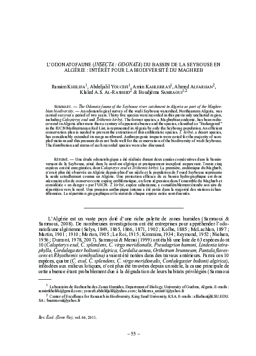 (PDF) The Odonata fauna of the Seybouse river catchment in Algeria as ...