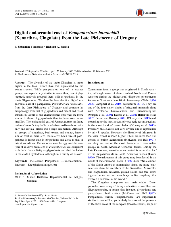 (PDF) Digital endocranial cast of Pampatherium humboldtii (Xenarthra ...