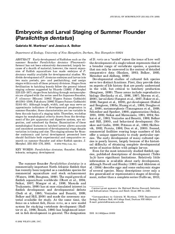 (PDF) Embryonic and larval staging of summer flounder (paralichthys ...