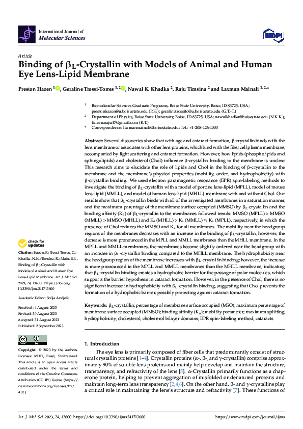 (PDF) Binding of βL-Crystallin with Models of Animal and Human Eye Lens ...