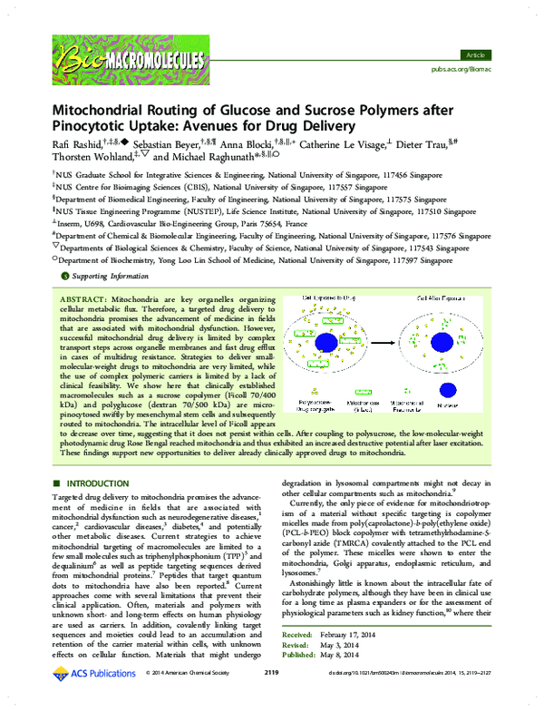 (PDF) Mitochondrial Routing of Glucose and Sucrose Polymers after ...