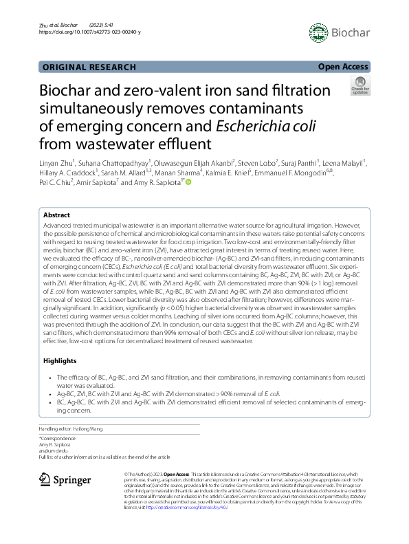 (PDF) Biochar and zero-valent iron sand filtration simultaneously ...