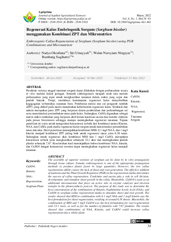 (PDF) Regenerasi Kalus Embriogenik Sorgum (Sorghum bicolor) menggunakan ...