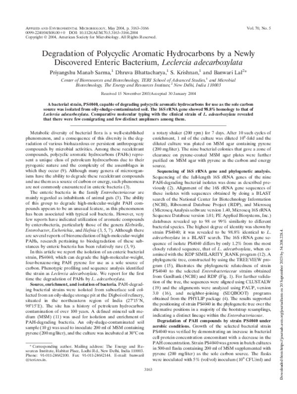 (PDF) Degradation of Polycyclic Aromatic Hydrocarbons by a Newly Discovered Enteric Bacterium ...