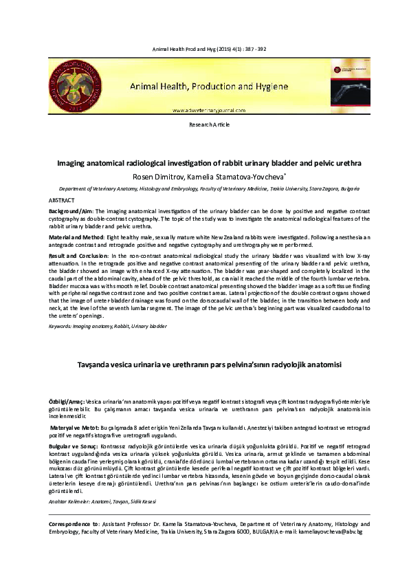 (PDF) Imaging anatomical radiological investigation of rabbit urinary ...