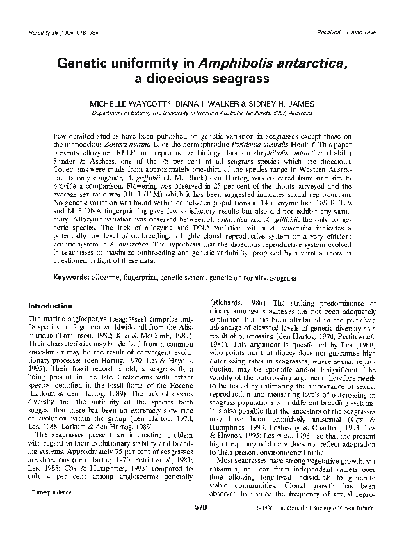 (PDF) Genetic uniformity in Amphibolis antarctica, a dioecious seagrass