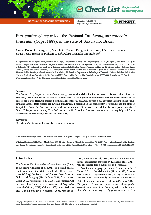(PDF) First confirmed records of the Pantanal Cat, Leopardus ...