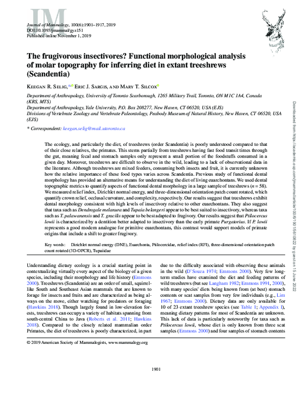 (PDF) The frugivorous insectivores? Functional morphological analysis ...