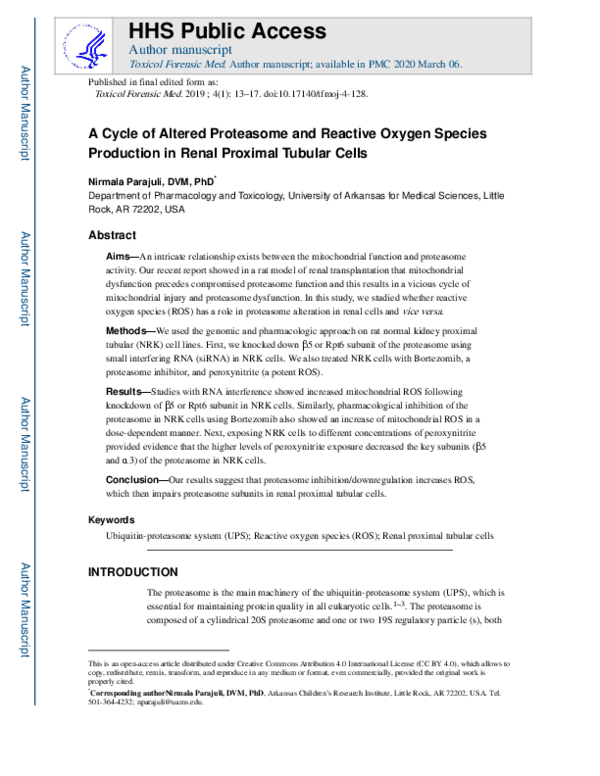 (PDF) A Cycle of Altered Proteasome and Reactive Oxygen Species ...