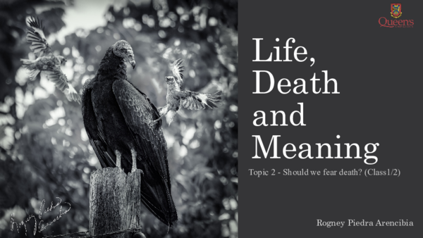 (PDF) Life, Death and Meaning