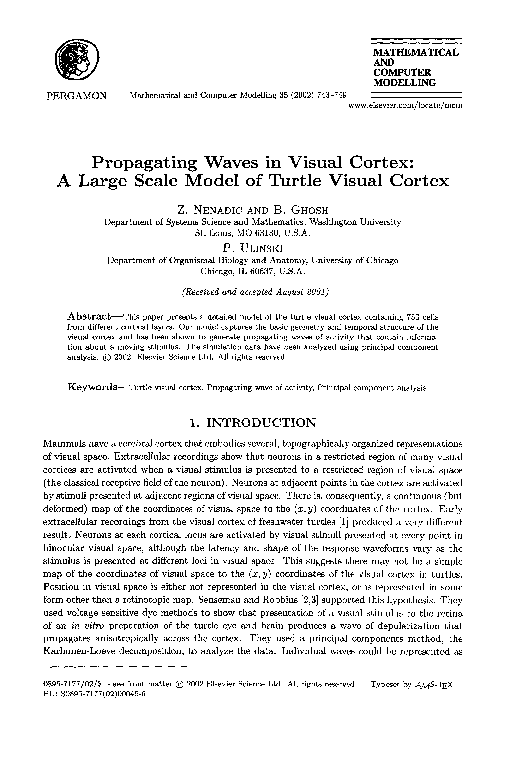 (PDF) Propagating waves in visual cortex: A large scale model of turtlevisual cortex