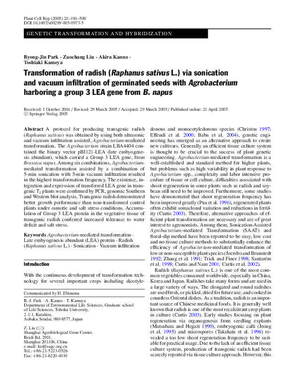 (PDF) Transformation of radish (Raphanus sativus L.) via sonication and ...