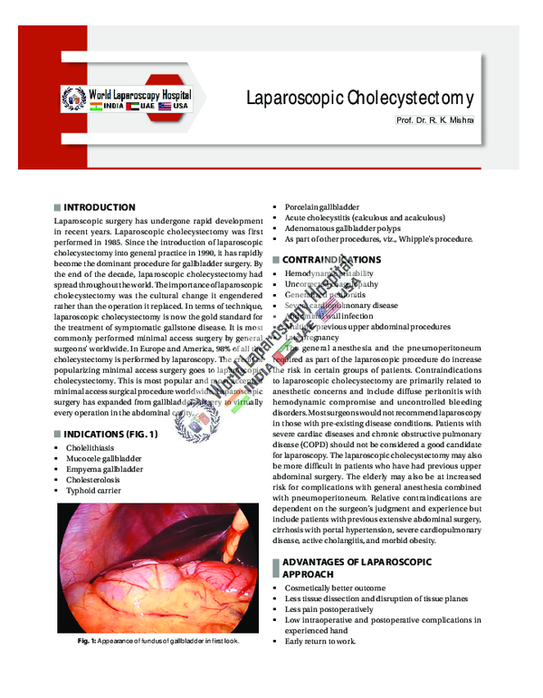 (PDF) Laparoscopic Cholecystectomy