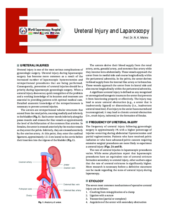 (PDF) Ureteral Injury and Laparoscopy