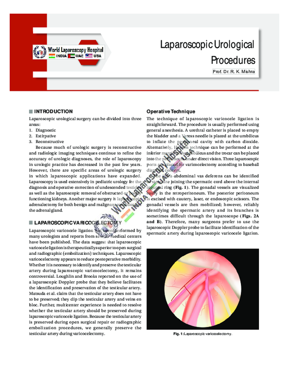 (PDF) Laparoscopic Urological Procedures