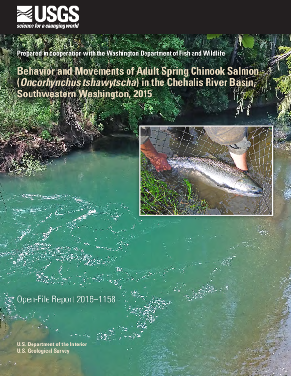 (PDF) Behavior and movements of adult spring Chinook salmon ...