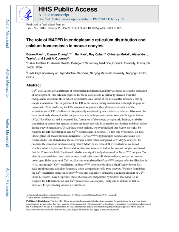 (PDF) The role of MATER in endoplasmic reticulum distribution and ...