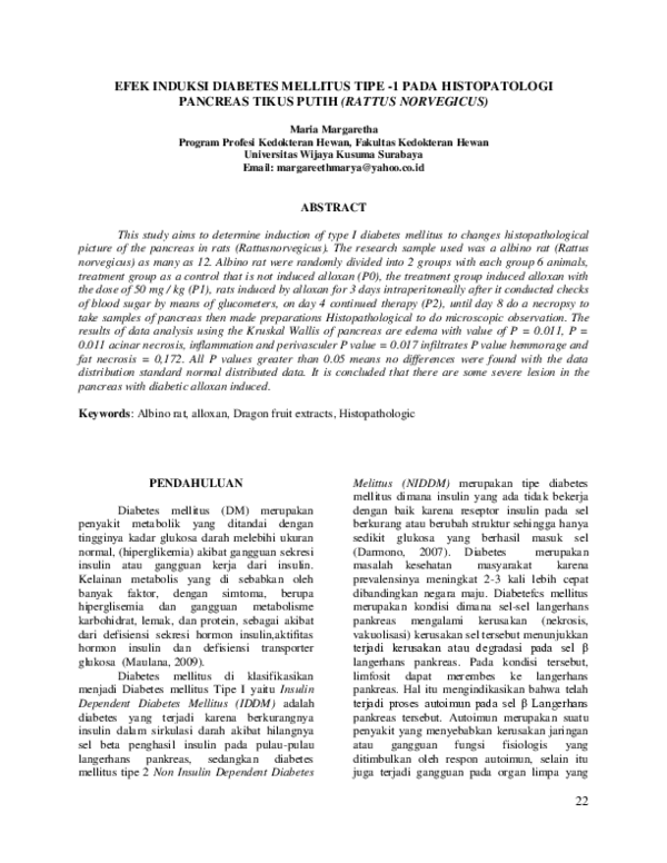 (PDF) Efek Induksi Diabetes Mellitus Tipe -1 Pada Histopatologi ...