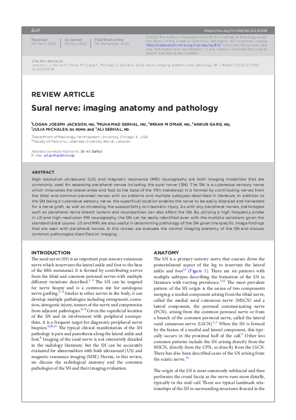 (PDF) Sural nerve: imaging anatomy and pathology