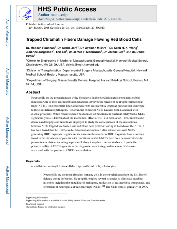 (PDF) Trapped Chromatin Fibers Damage Flowing Red Blood Cells