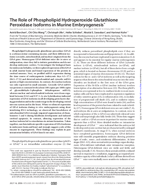 (PDF) The Role of Phospholipid Hydroperoxide Glutathione Peroxidase ...