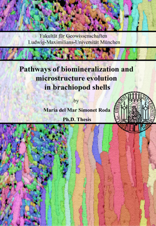 (PDF) Pathways of biomineralization and microstructure evolution in ...