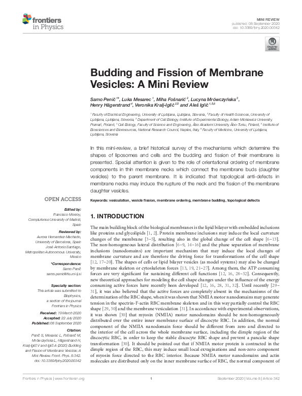 (PDF) Budding and Fission of Membrane Vesicles: A Mini Review