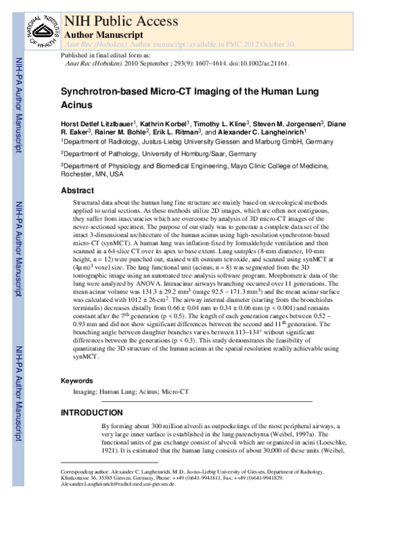 (PDF) Synchrotron-Based Micro-CT Imaging of the Human Lung Acinus
