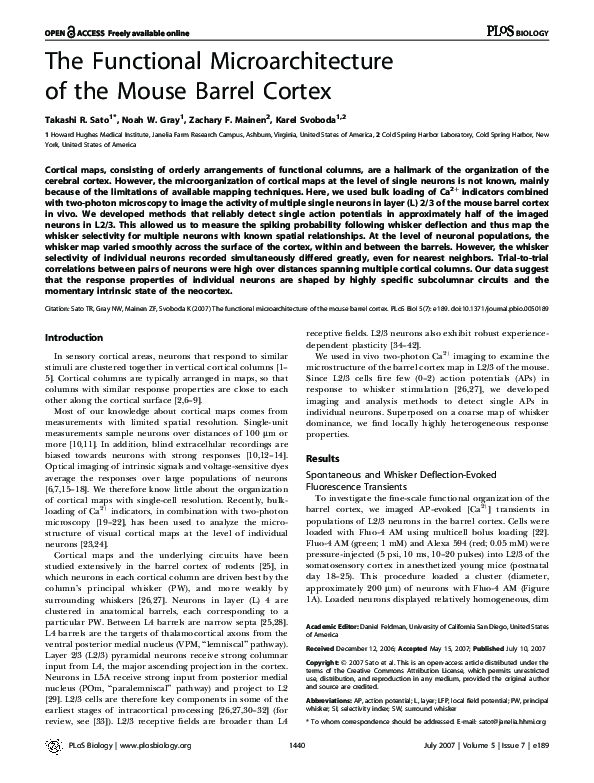 (PDF) The functional microarchitecture of the mouse barrel cortex