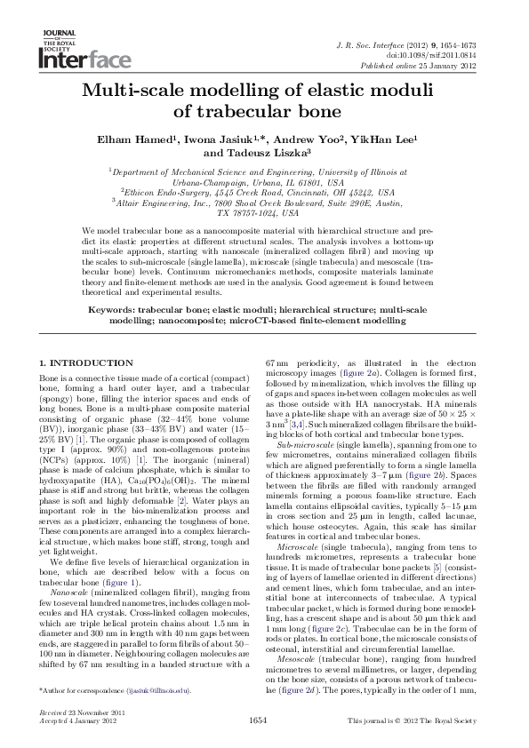 (PDF) Multi-scale modelling of elastic moduli of trabecular bone