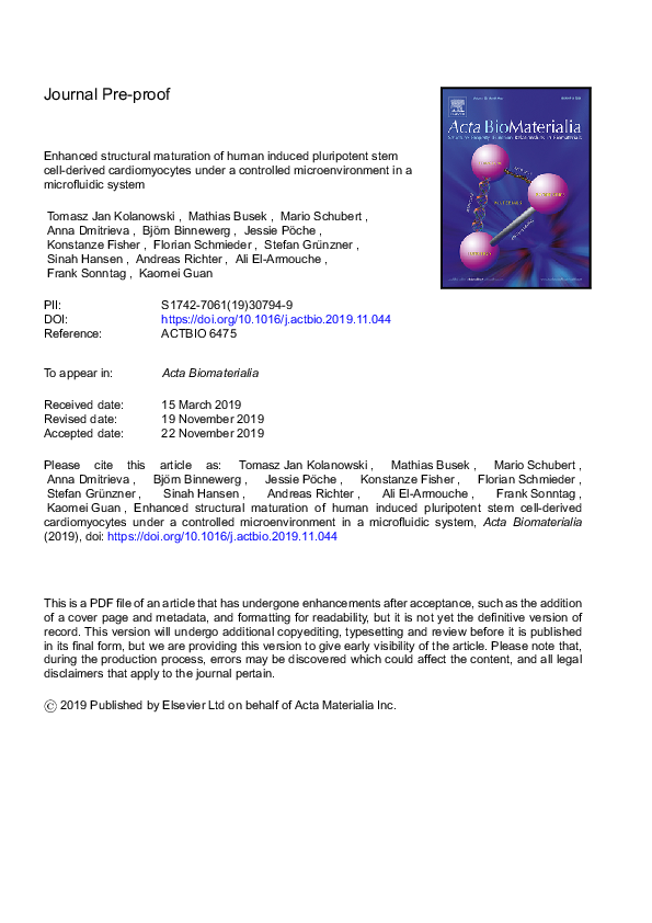 (PDF) Enhanced structural maturation of human induced pluripotent stem cell-derived ...