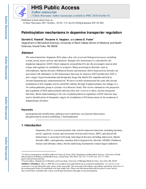(PDF) Palmitoylation mechanisms in dopamine transporter regulation