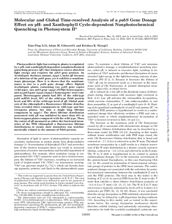 (PDF) Molecular and Global Time-resolved Analysis of a psbSGene Dosage ...