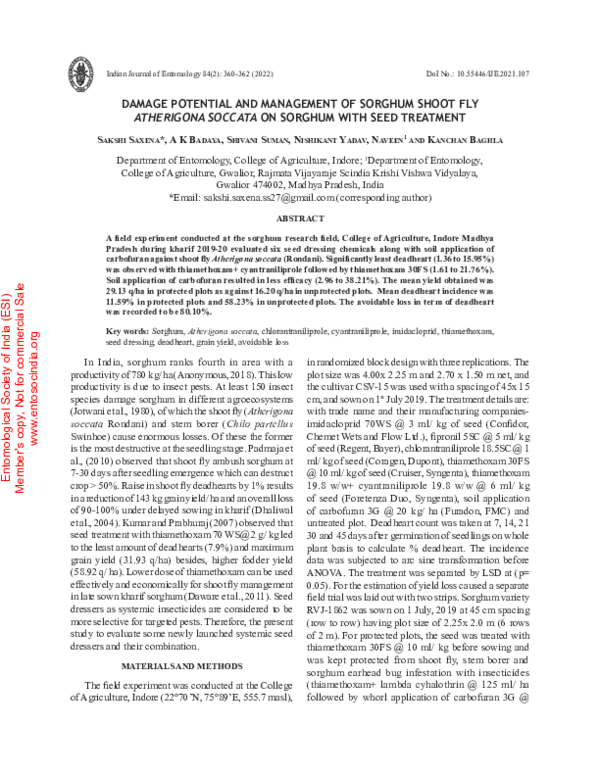 (PDF) Damage Potential and Management of Sorghum Shoot Fly Atherigona ...