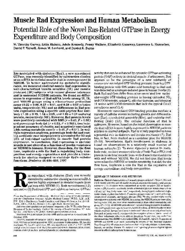 (PDF) Muscle Rad expression and human metabolism: potential role of the ...