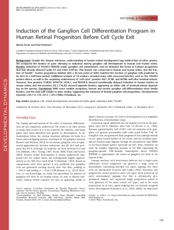 (PDF) Induction of the ganglion cell differentiation program in human retinal progenitors before ...