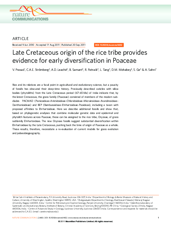 (PDF) Late Cretaceous origin of the rice tribe provides evidence for ...