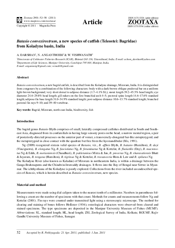 (PDF) Batasio convexirostrum, a new species of catfish (Teleostei ...