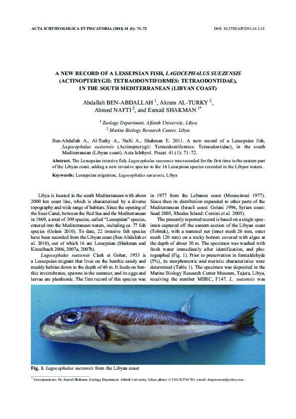 (PDF) A new record of a Lessepsian fish, Lagocephalus suezensis ...