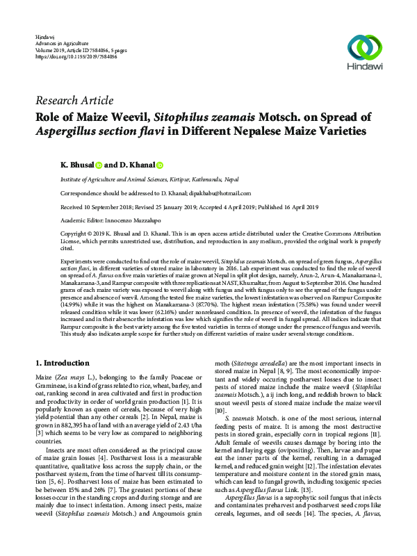 (PDF) Role of Maize Weevil, Sitophilus zeamais Motsch. on Spread of ...
