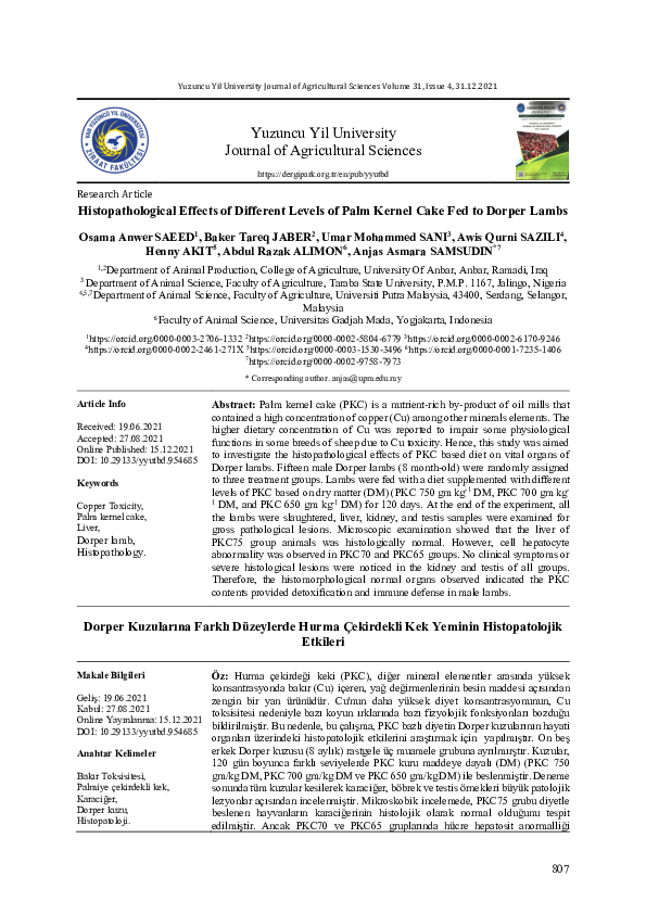 (PDF) Histopathological Effects of Different Levels of Palm Kernel Cake ...