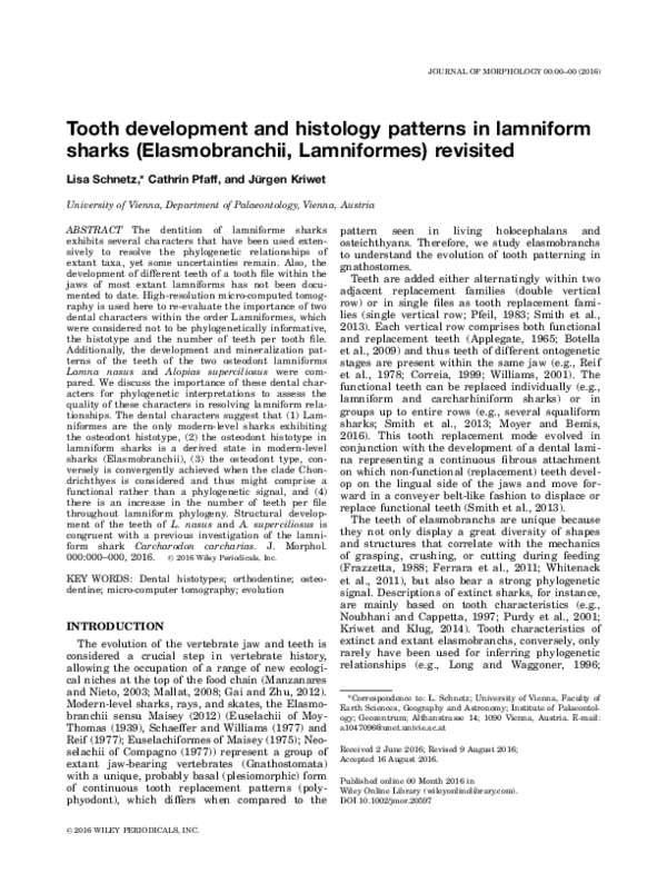 (PDF) Tooth development and histology patterns in lamniform sharks ...
