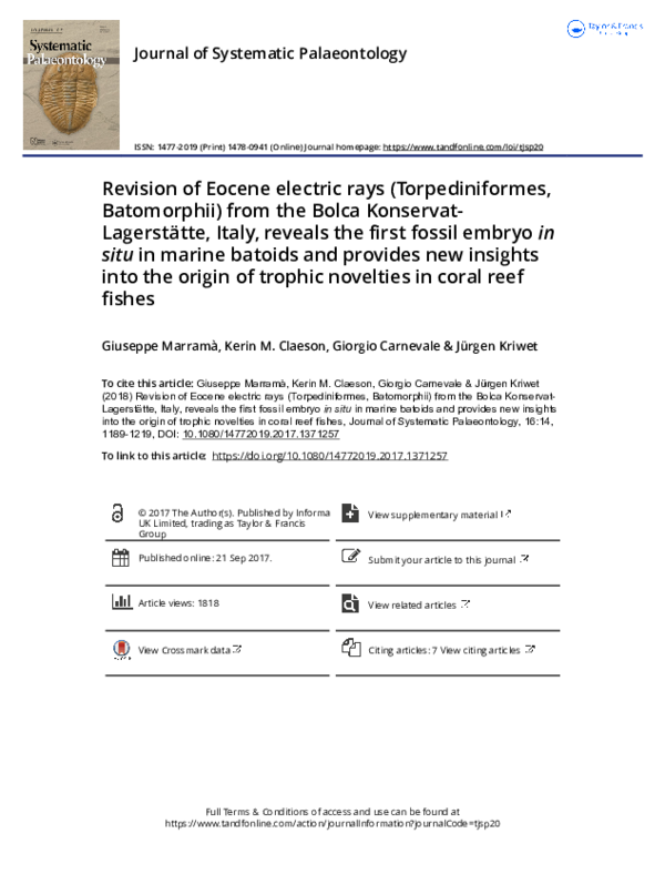 (PDF) Revision of Eocene electric rays (Torpediniformes, Batomorphii ...