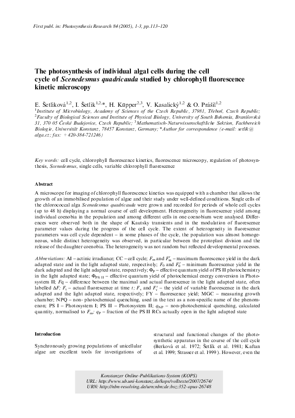 (PDF) The photosynthesis of individual algal cells during the cell ...