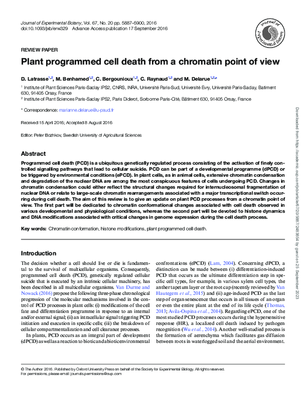 (PDF) Plant programmed cell death from a chromatin point of view